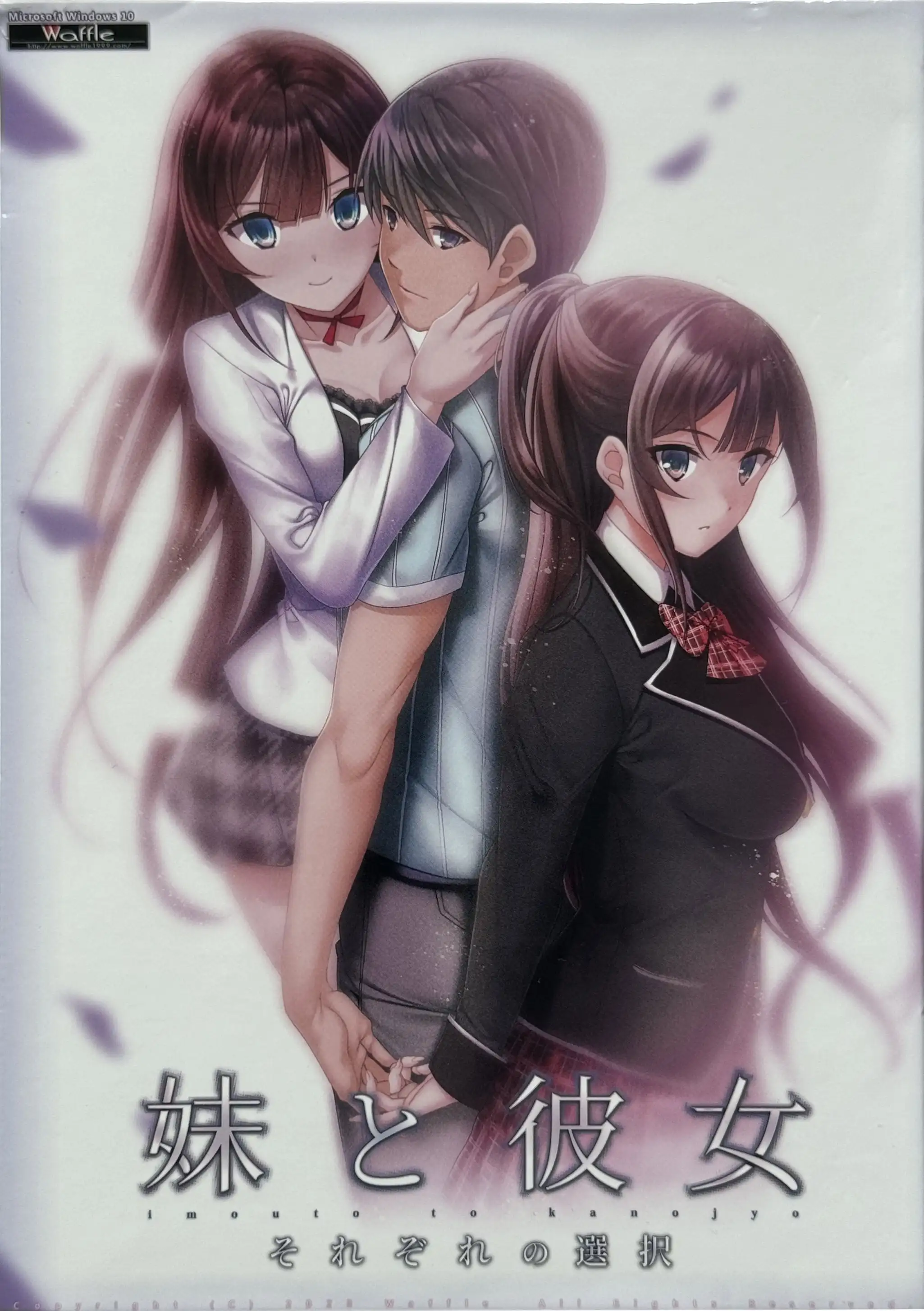 妹与她 各自的选择 - 稻荷GAL Galgame资源下载