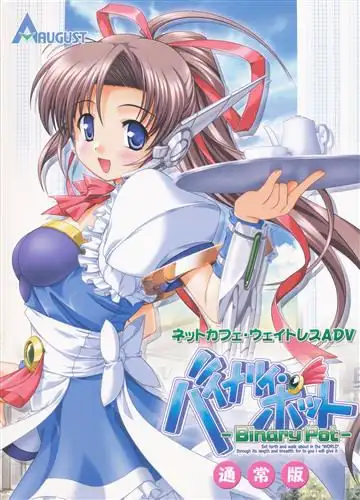 Binary Pot - 稻荷GAL Galgame资源下载